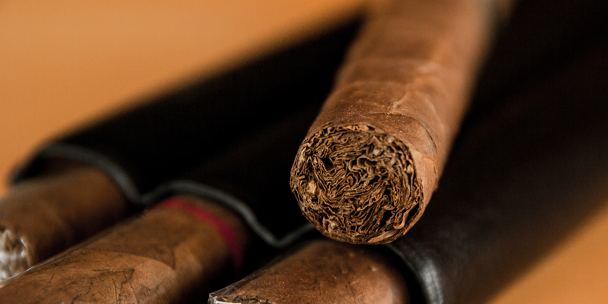Profumi al tabacco: ecco i migliori da provare e come scegliere – Etualy